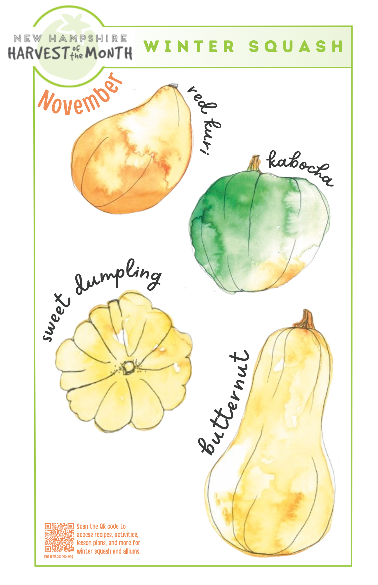 Winter Squash – NH Farm to School